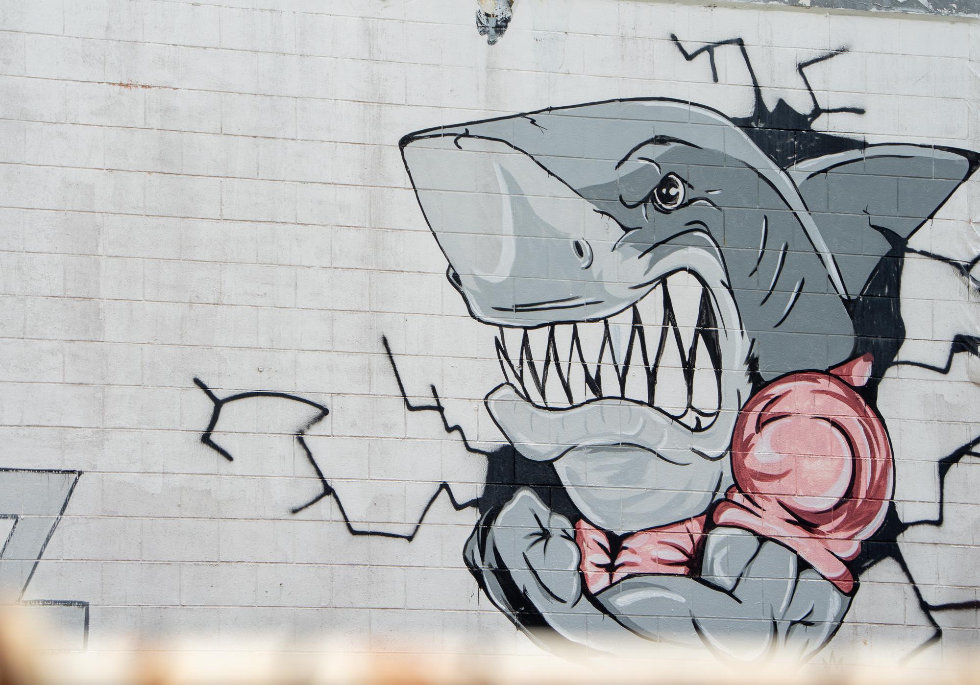 General Pacific Services files procurement protest, Sanchez build ...